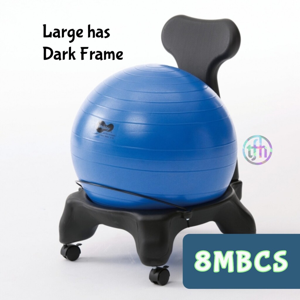22" Ball Chair Large - Balance & Coordination Sensory Toy | TFH